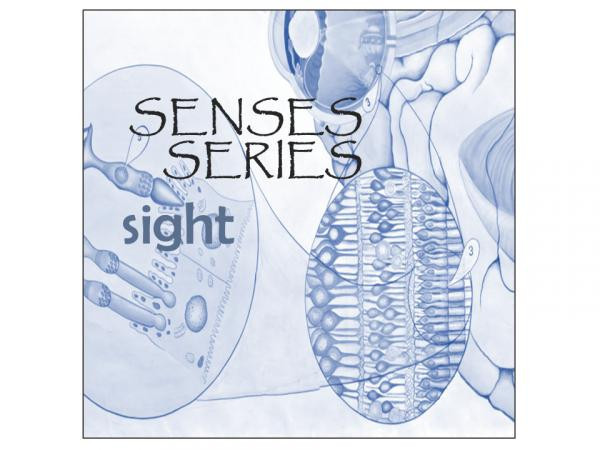 Collections :: Senses Series - Sight in Humans and Animals ...